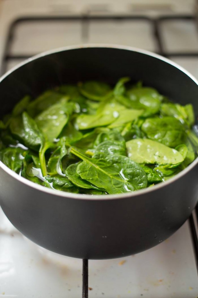 Spinach roti | Palak Roti | Spinach Paratha - Traditionally Modern Food