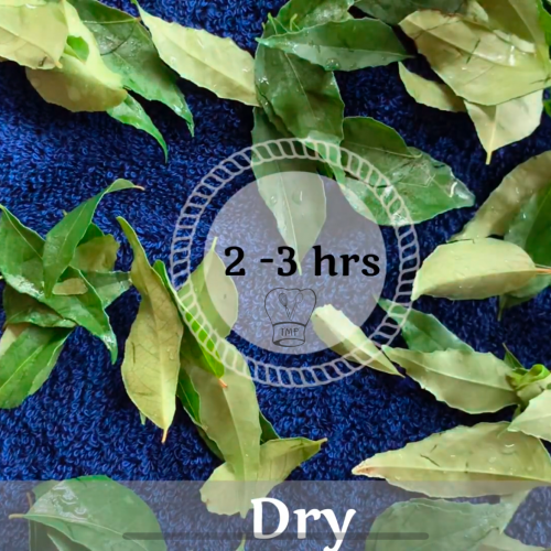How to keep curry leaves fresh for weeks - Traditionally Modern Food